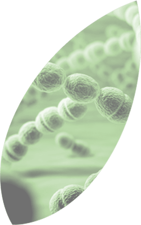 Protara Therapeutics